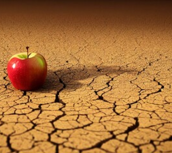 Food deserts and Food insecuity